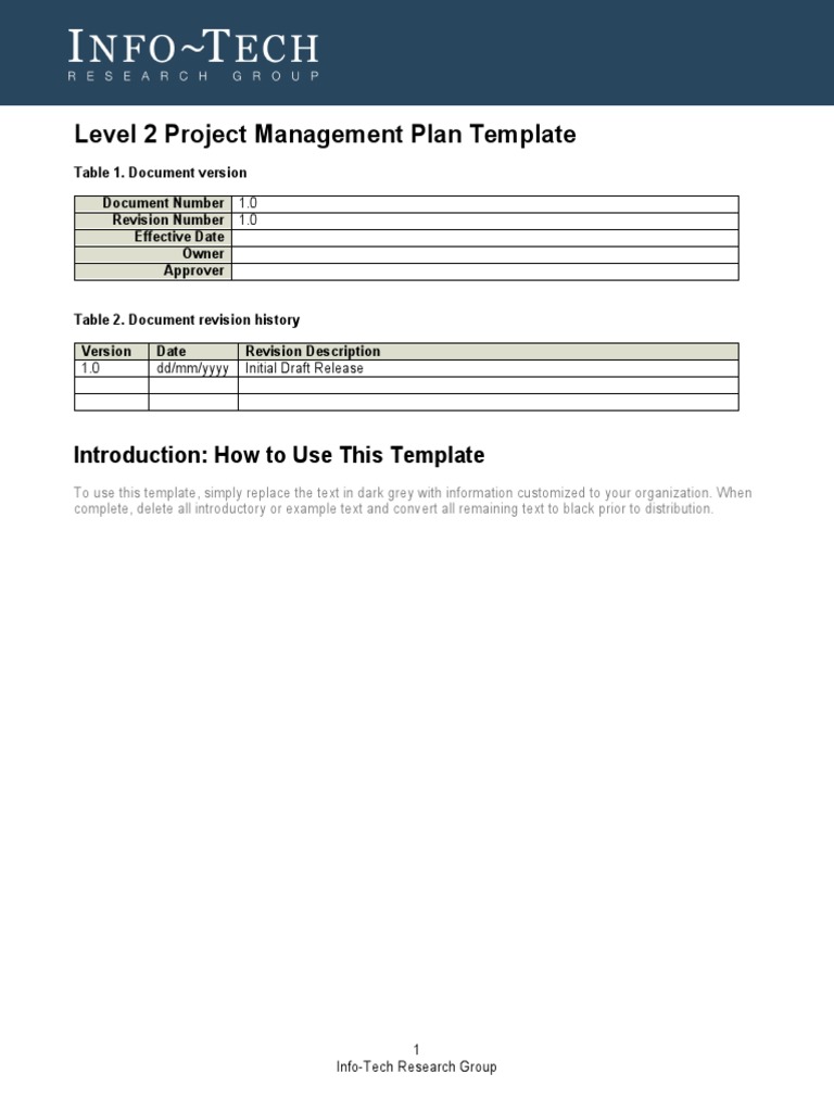It Level 2 Project Management Plan Template | PDF | Project Management ...