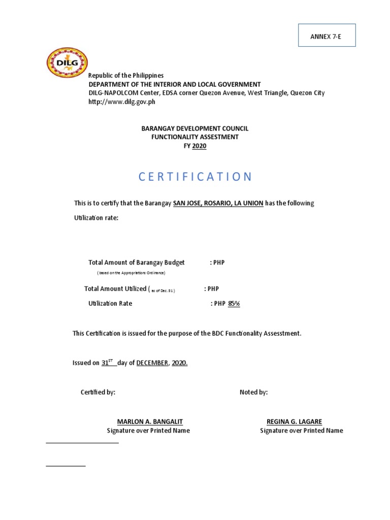 Barangay Development Council Functionality Assestment Fy 2019 | PDF