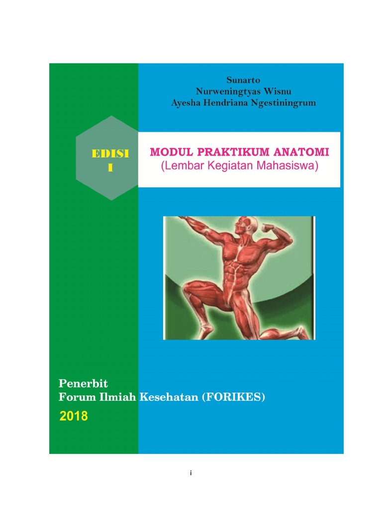 Modul Praktikum Anatomi | PDF