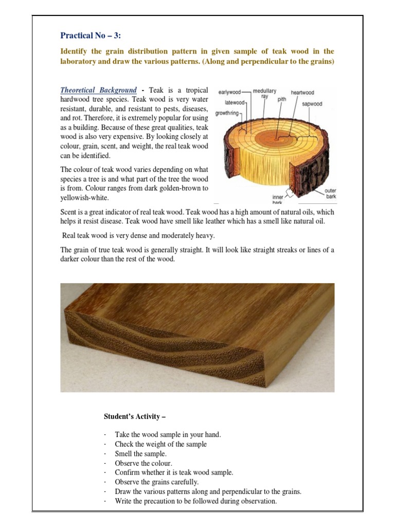 Experiment No 3 | PDF | Wood | Hardwood