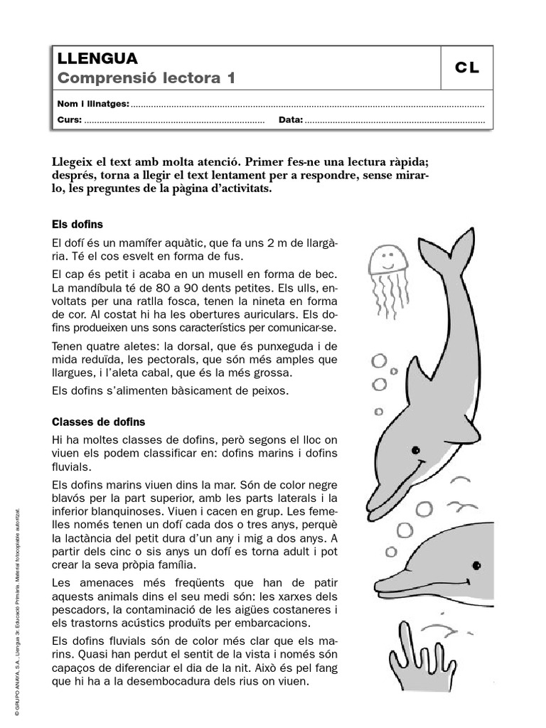 Comprensión Lectora Valencià | PDF