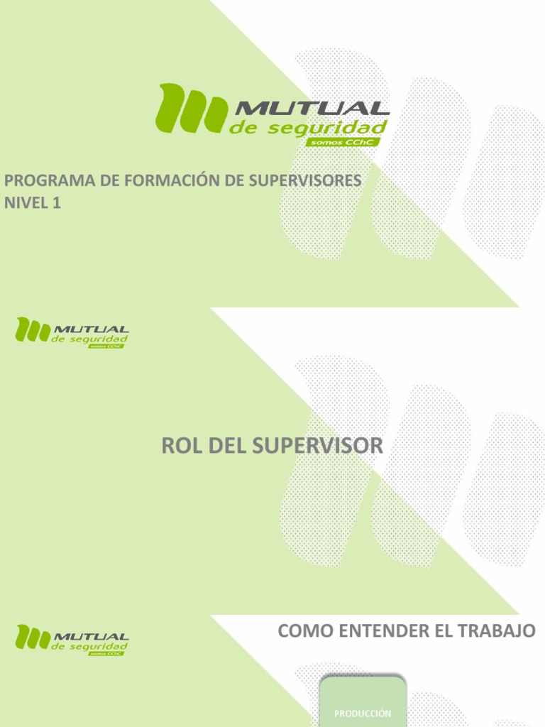 Curso Supervisores Nivel 1 | PDF | Ciencias de la Salud