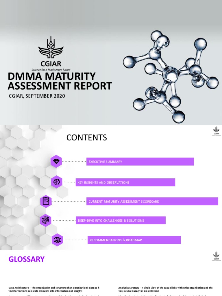 DMMA Maturity Assessment Report | PDF