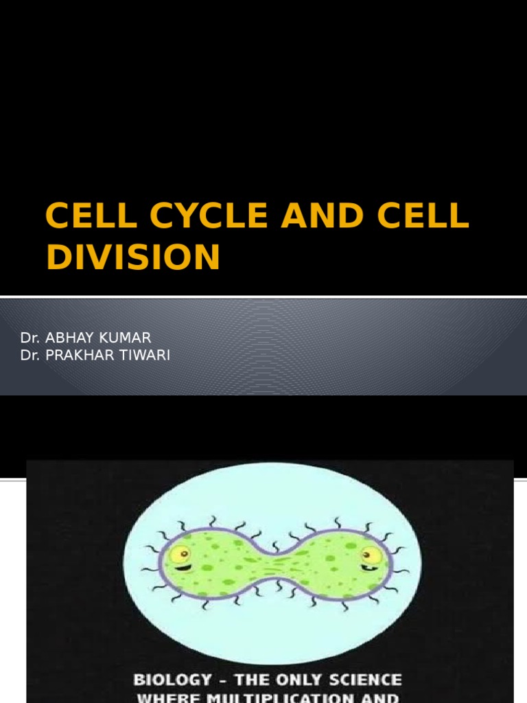 Cell Cycle Lecture | PDF