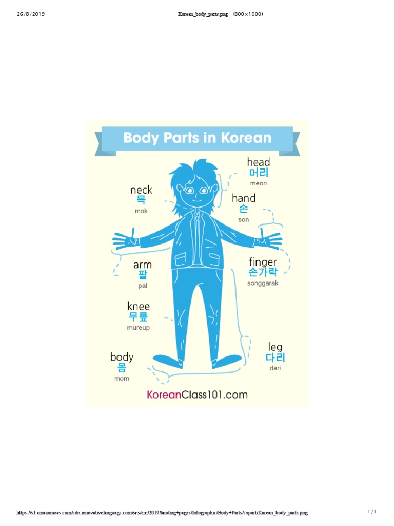 Korean Body Parts | PDF