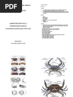 Easy Identification of Diatoms | PDF