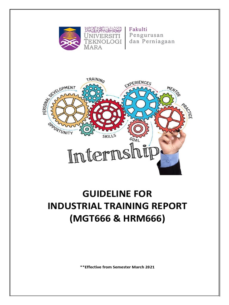 HRM666 Industrial Training Report Guide | PDF