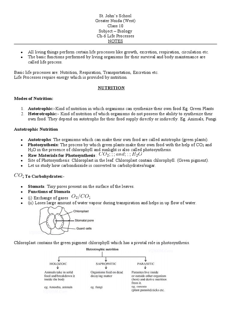 Class 10 Ch6 Life Processes | PDF | Kidney | Organisms