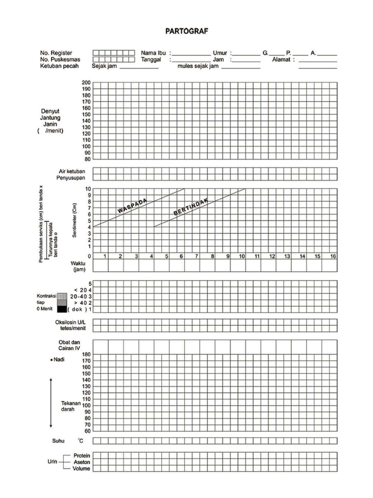 FORMAT Partograf | PDF
