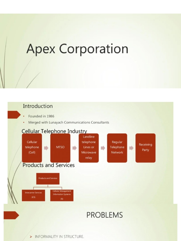 Appex Corporation - Case Study | PDF