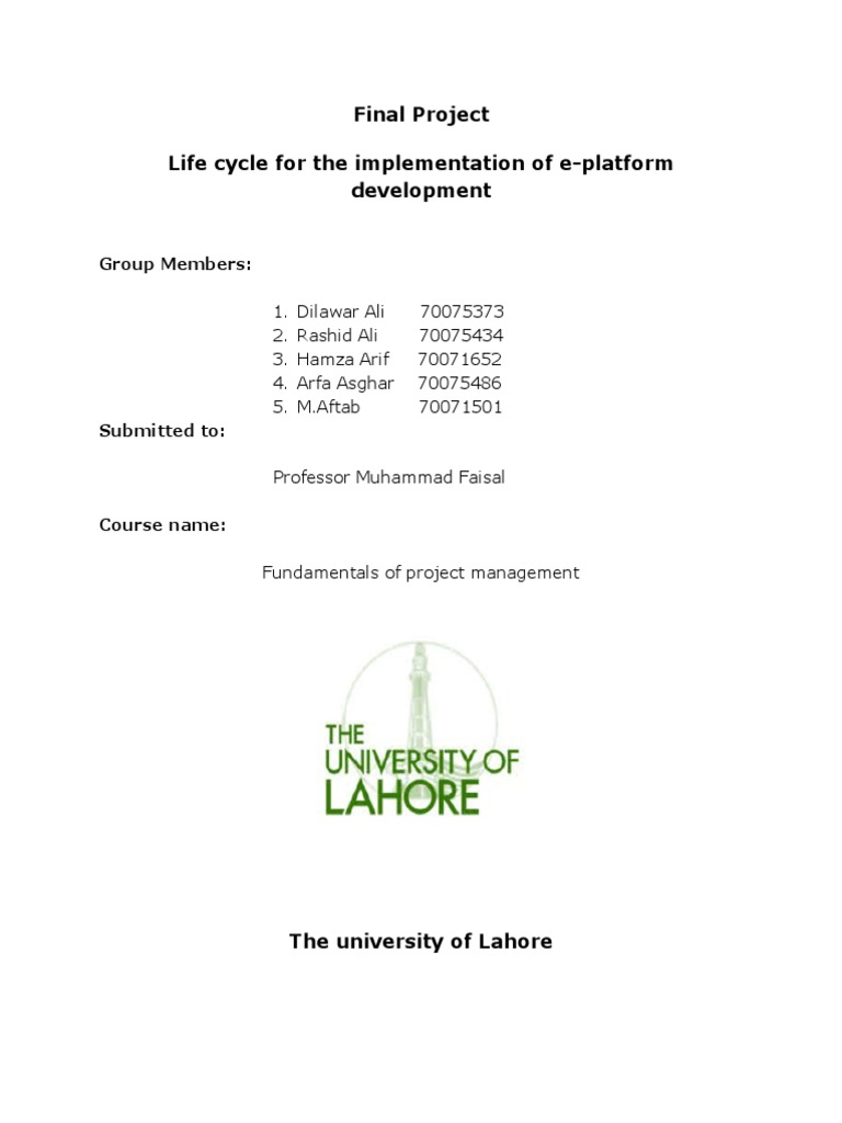 Project Management Final Project | Download Free PDF | Project ...