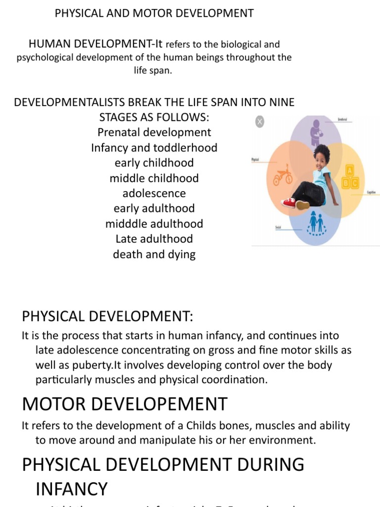 Physical and Motor Development | PDF | Infants | Developmental Psychology