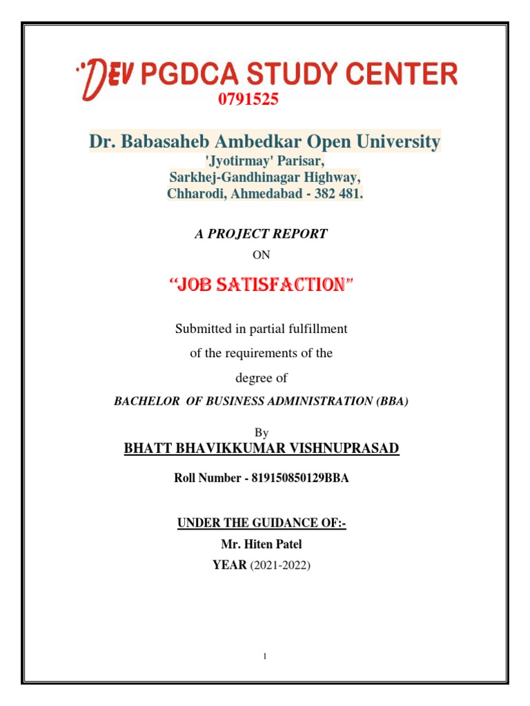 Project Report | PDF | Job Satisfaction | Human Resource Management