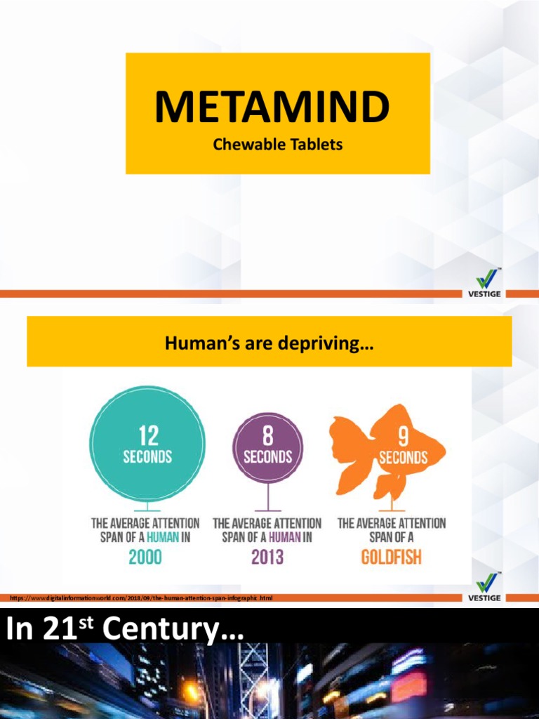 Metamind Launch | PDF | Cognition | Memory