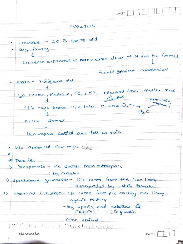 Chap 11 Handwritten Bio Neet Notes | PDF