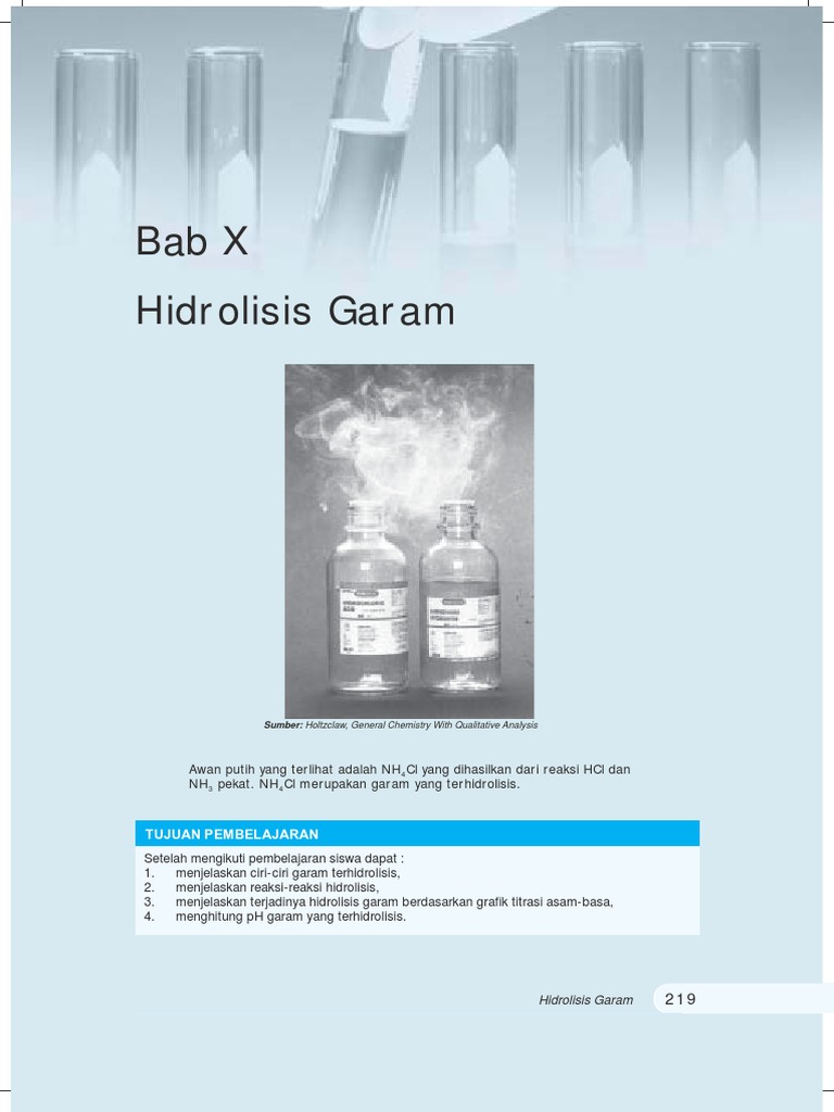 11 - Bab10 Hidrolisis Garam | PDF