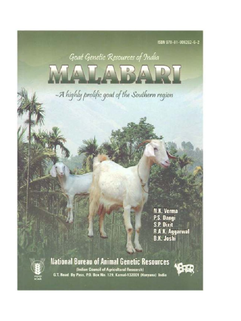 Malabari Goat | PDF