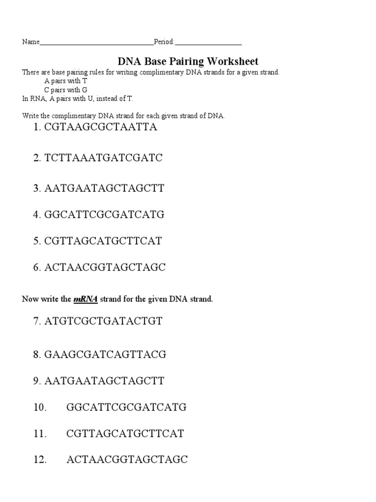 DNA Base Pairing and Transcription Worksheet | PDF | Genetic Code ...