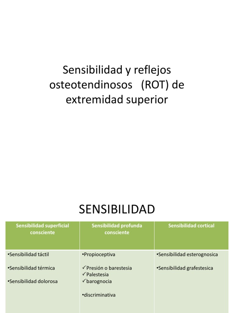 Evaluación de Sensibilidad Neurológica | PDF