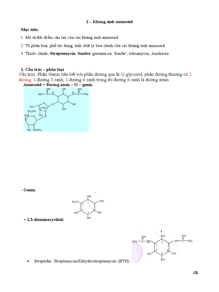 2-Kháng Sinh Aminosid | PDF