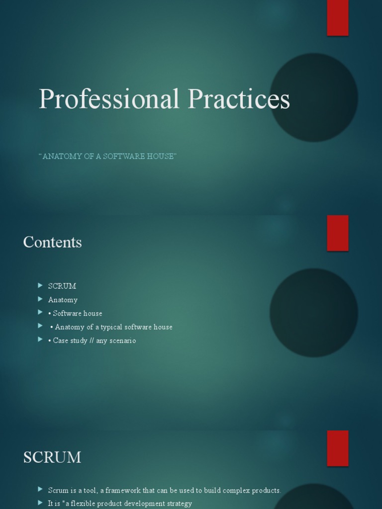 Anatomy of a Successful Agile Software Development Team: Examining the Key Roles, Processes, and ...