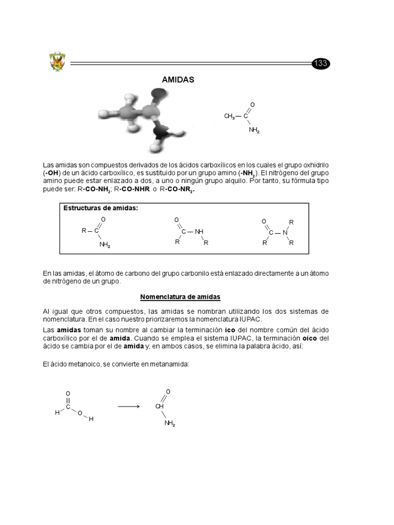 Nomenclatura y estructura de amidas | PDF | Amida | Nylon