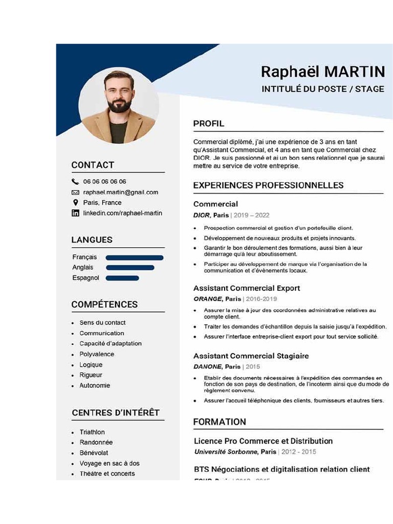 Curriculum en Frances | PDF