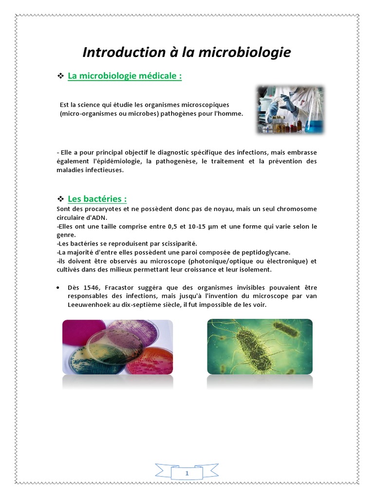 TP Microbio | PDF | Staphylococcus | Bactérie