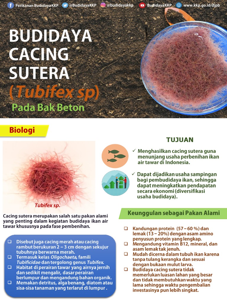 2019-10-31-Leaflet Cacing Sutera | PDF