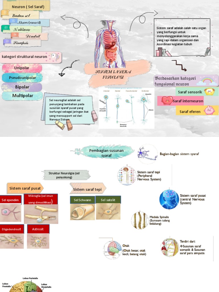 Mind Map | PDF | Kesehatan Holistik