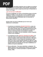 Raíces de Palmeras: Tipos y Características | PDF | Raíz | Tallo de la ...