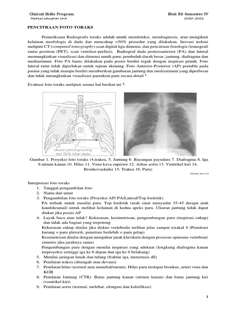 Skills - Pembacaan Rontgen Thorax | PDF