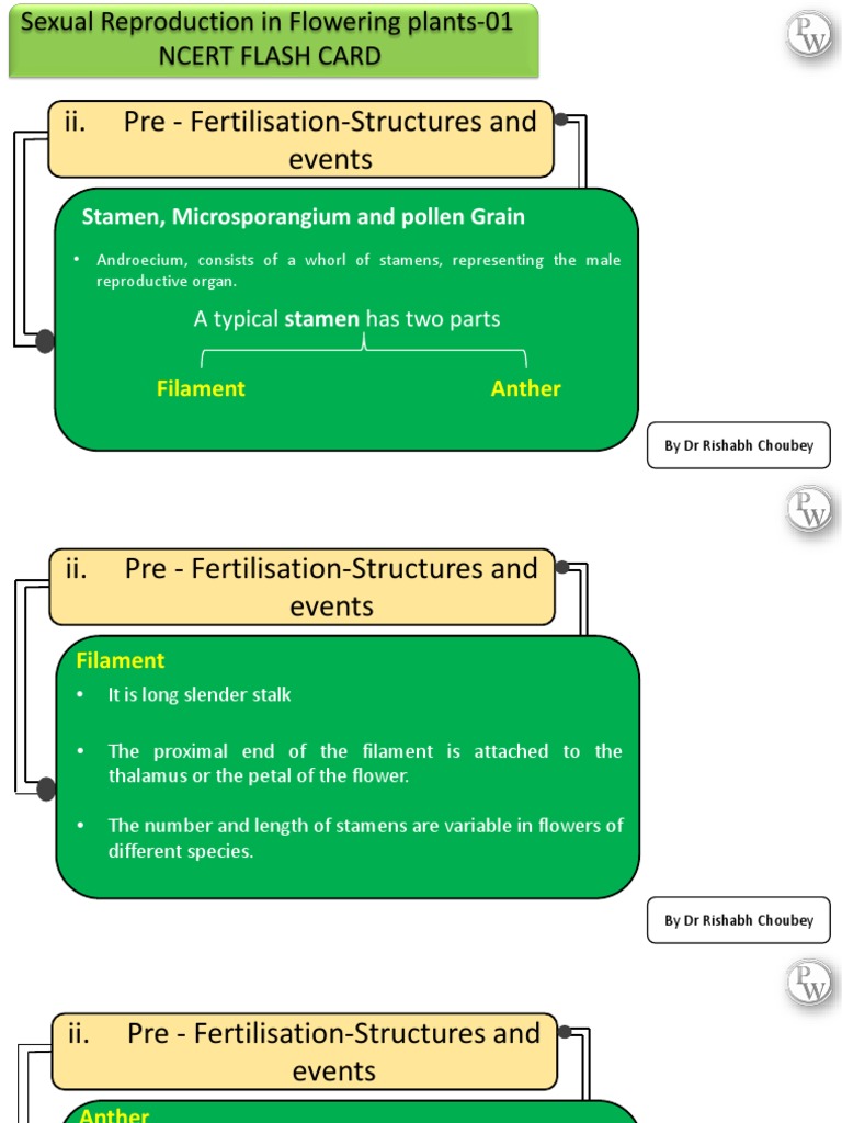 Sexual Reproduction in Flowering Plants Ncert Flash Card 01 | PDF