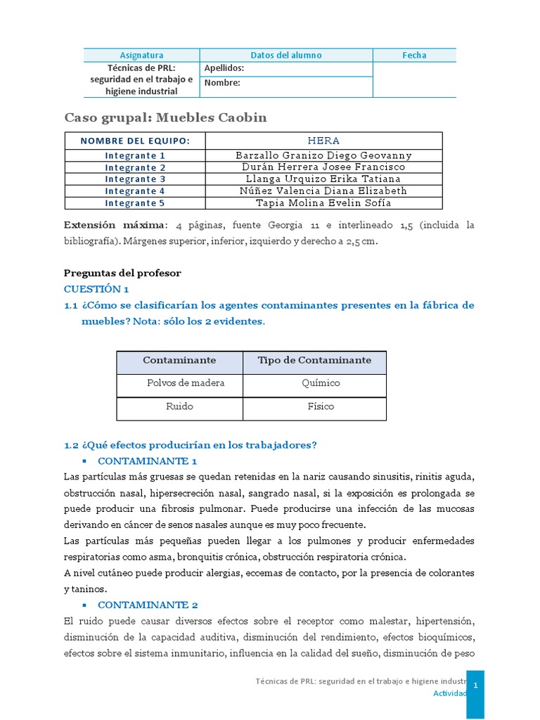 Muebles Caobin - Actividad Grupal | PDF | Higiene Ocupacional | Decibel
