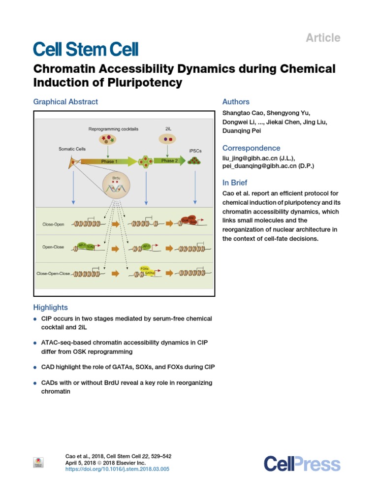 Chromatin Accessibility Dynamics During Chemical Induction of PL 20181 ...