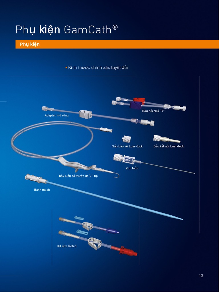 Catheter Gamcath - Catalogue TV | PDF