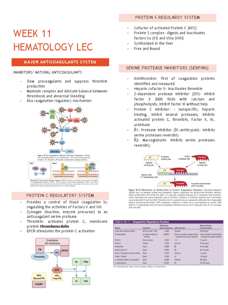 Week 11 - Hema Lec Major Anticoagulants System | PDF | Coagulation | Blood Proteins