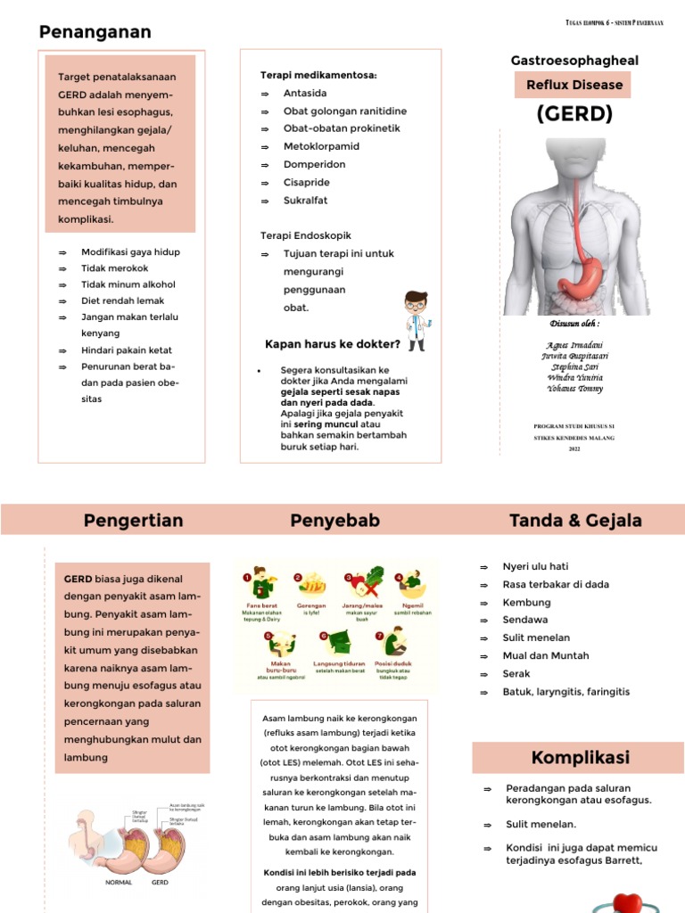 Tugas Sistem Pencernaan Kelompok 6 - GERD | PDF