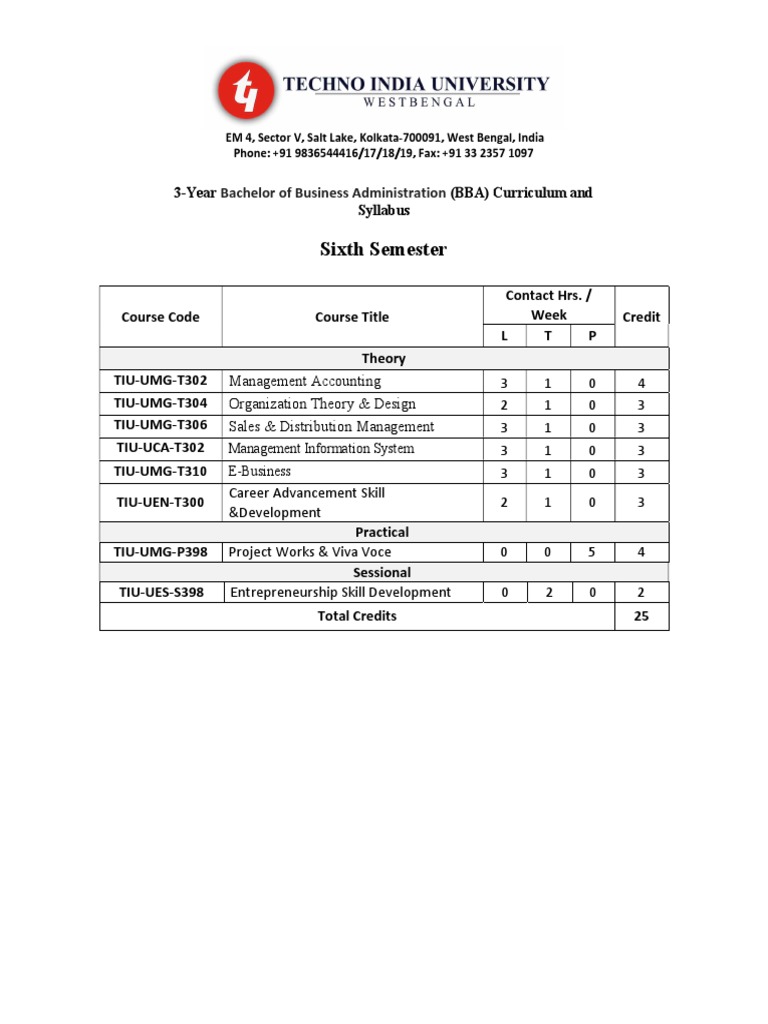 BBA Sixth Semester Curriculum Overview | PDF | Databases | Information ...