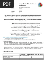 BDRRM Plan 2023 2025 | PDF