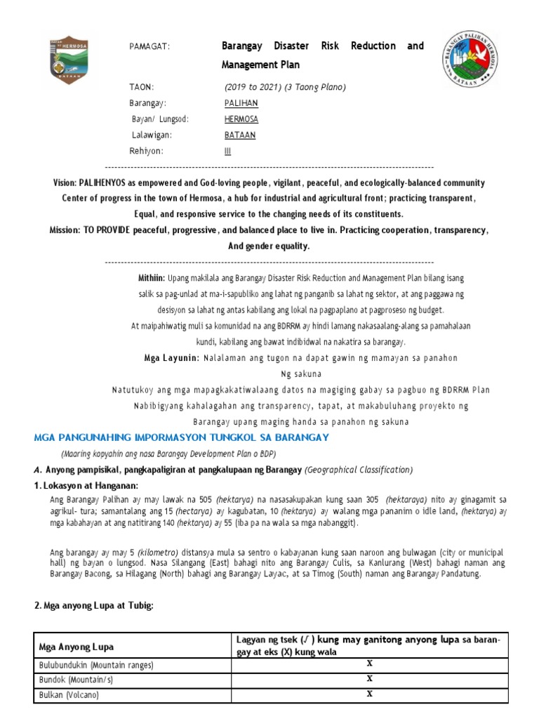 BDRRM Plan 2021 | PDF