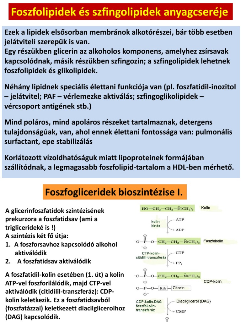 Biok2 Eload Lipid5 | PDF