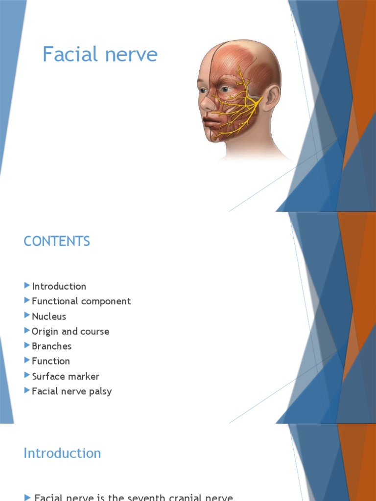 Facial Nerve: by Dona Mariam Sam Third Year BDS Reg No 170021349 | PDF ...