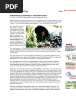 What Is Ratooning | PDF | Agriculture | Horticulture