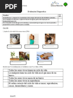 Cadena Alimenticia - Productores, Consumidores y Descomponedores PDF ...