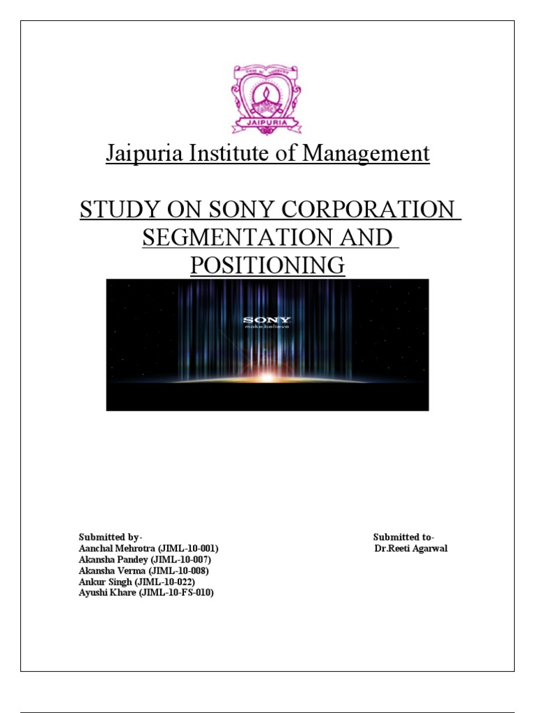 Marketing Sony | PDF | Sony | Market Segmentation