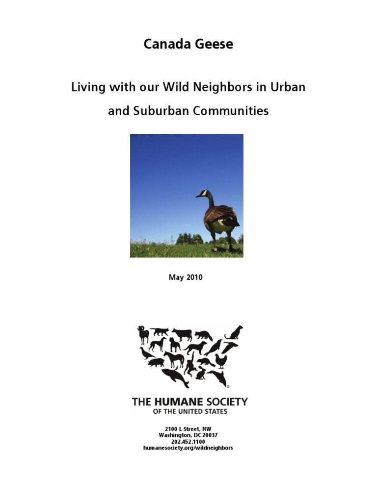 Canada Goose Guide | PDF