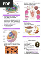 Sorenson Atlas of Human Histology Chapter 1 PDF | PDF | Staining ...