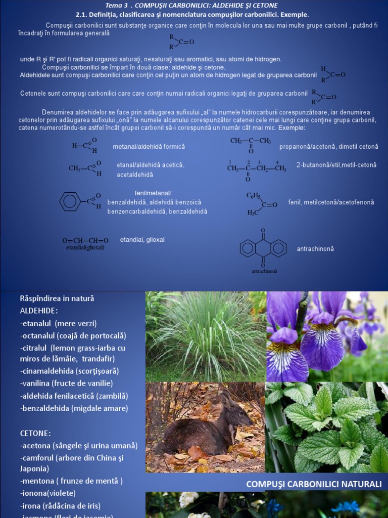 Compusi Carbonilici | PDF