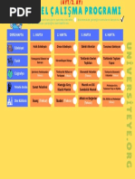 Tyt Calisma Programi Ay 4 | PDF